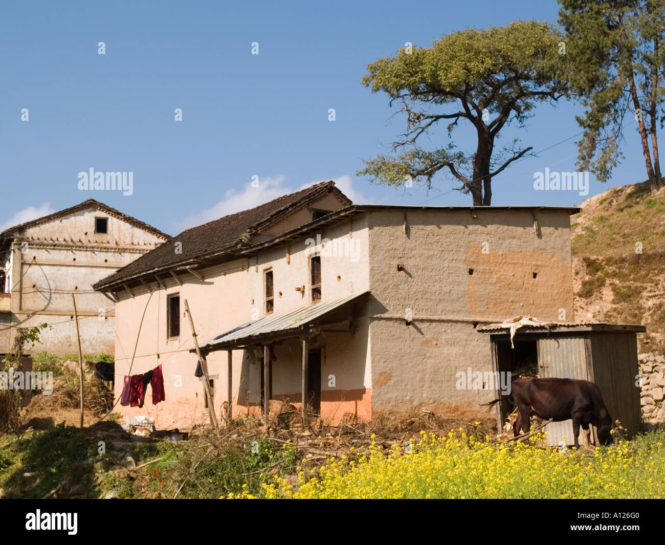 Kavre Dhulikhel Kathmandu Valley Nepal Asia TYPICAL RURAL HOUSES with ...