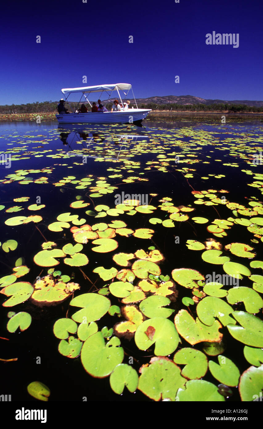 A tour boat on Clancys Lagoon, Mareeba Wetlands, Mareeba, Queensland ...