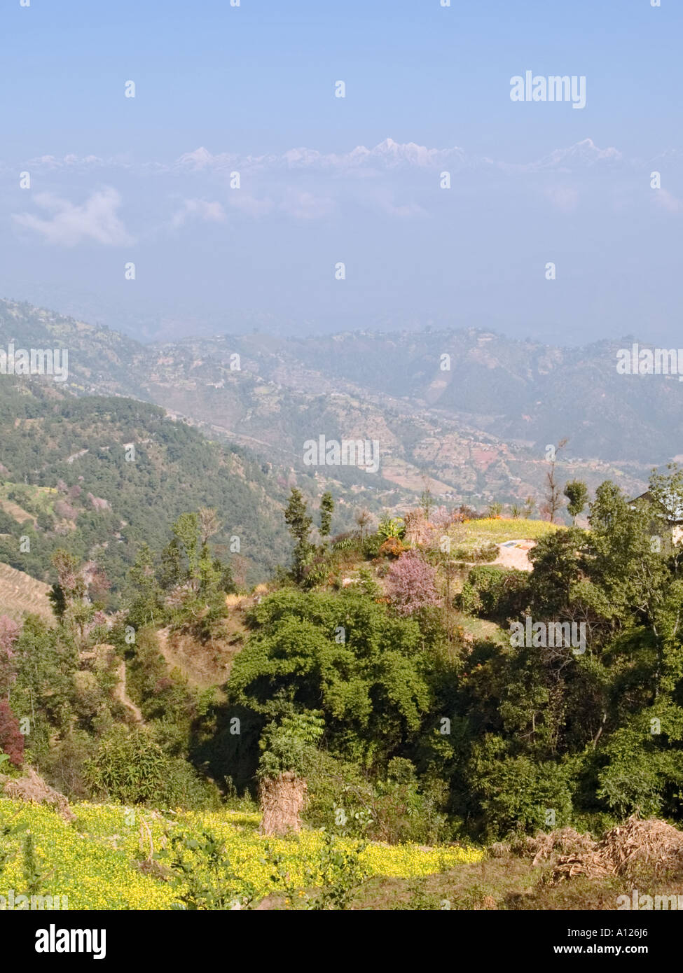 Hillside kathmandu nepal hi-res stock photography and images - Alamy