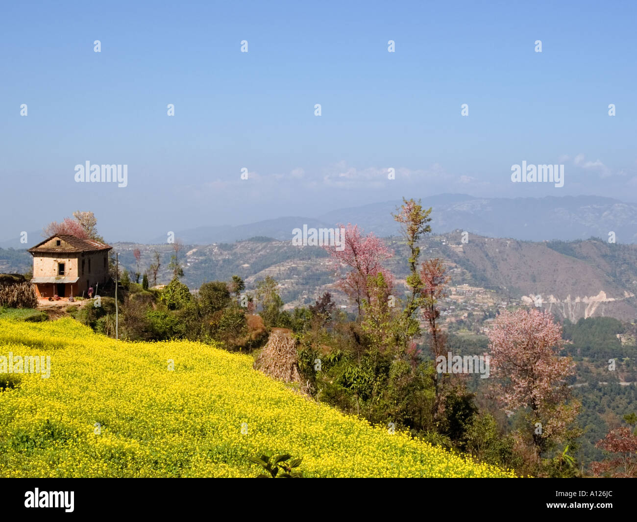 Hillside kathmandu nepal hi-res stock photography and images - Alamy