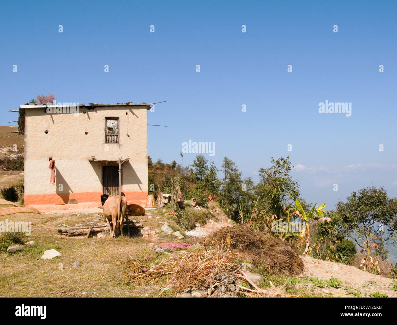 TRADITIONAL FARMHOUSE with cattle outside Dhulikhel Kathmandu Valley ...