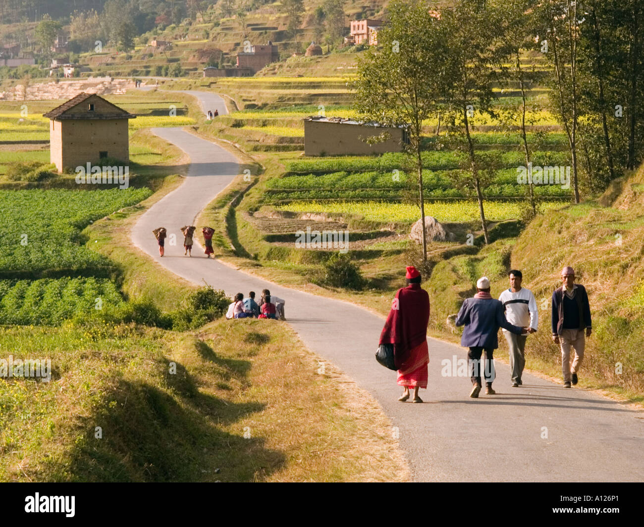 Rural scene with Nepalese people walking on road to Panauti. Dhulikhel ...