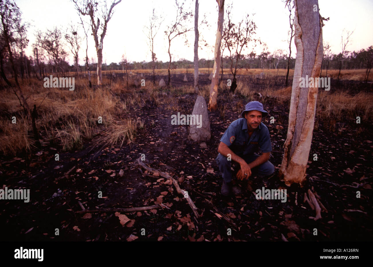 A park ranger squats amongst an area burnt by fire at the Mareeba ...