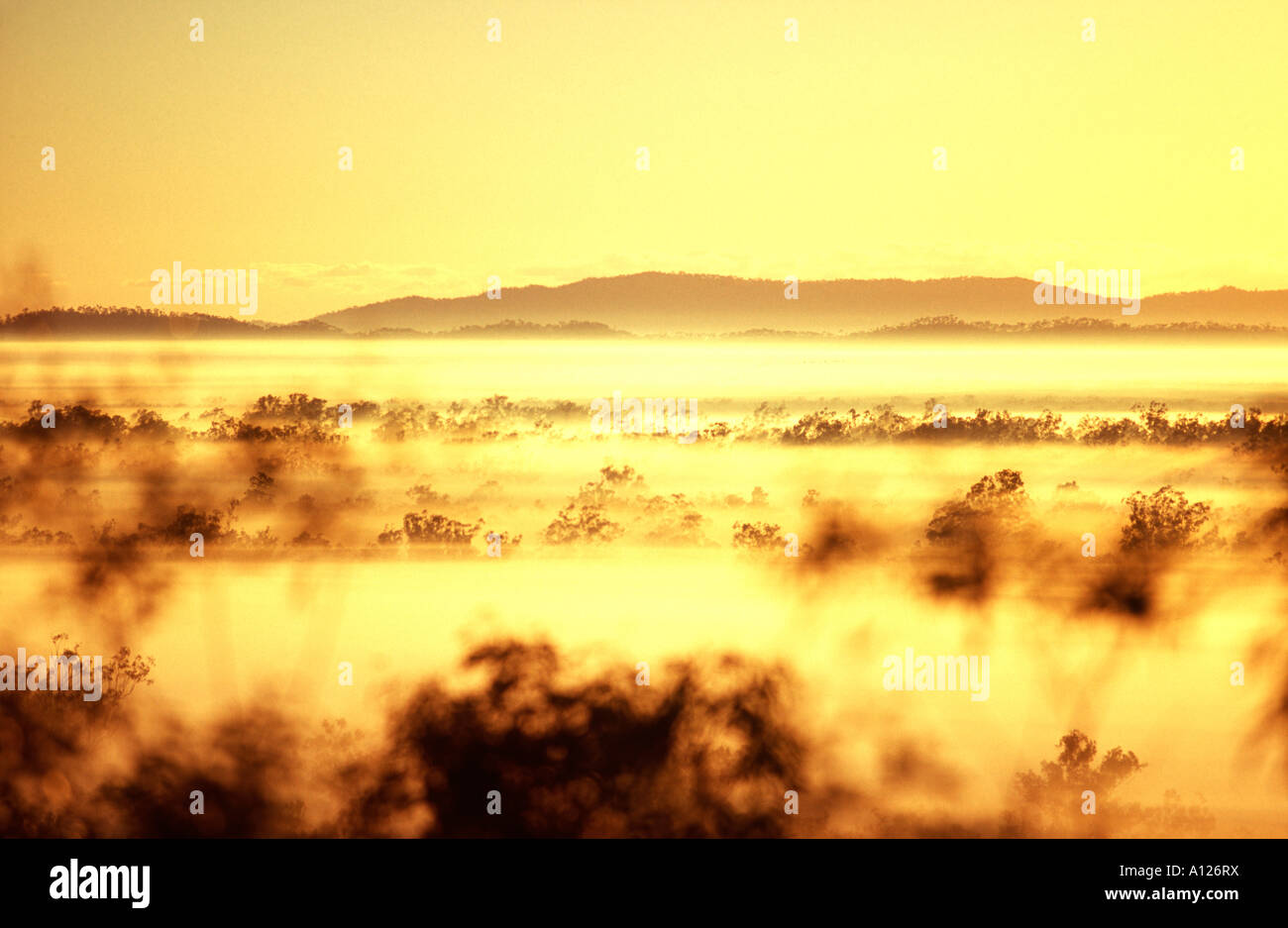Sunrise sets the world on fire at the Mareeba Wetlands, Mareeba ...