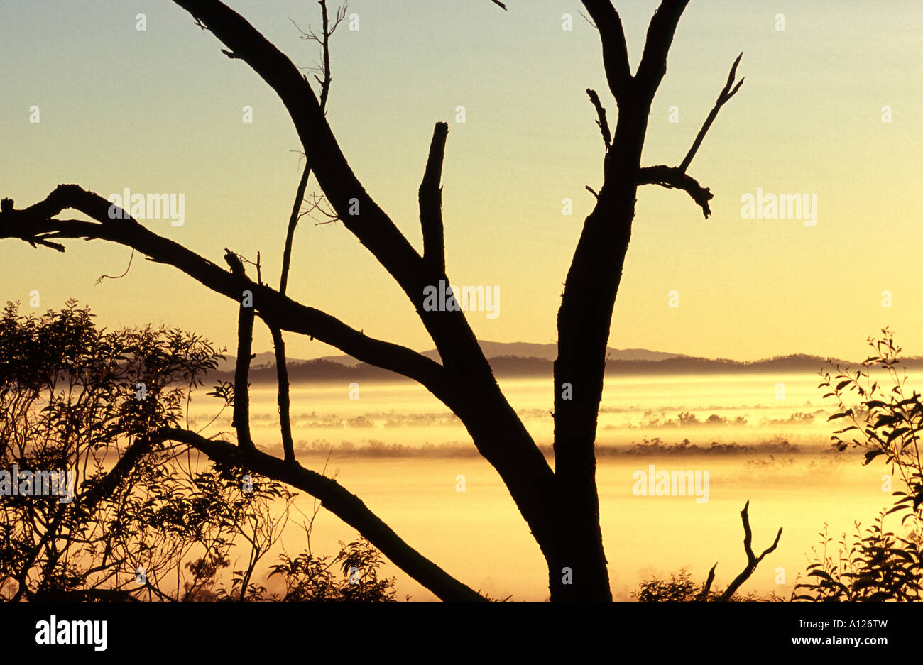 Mareeba wetlands hi-res stock photography and images - Alamy