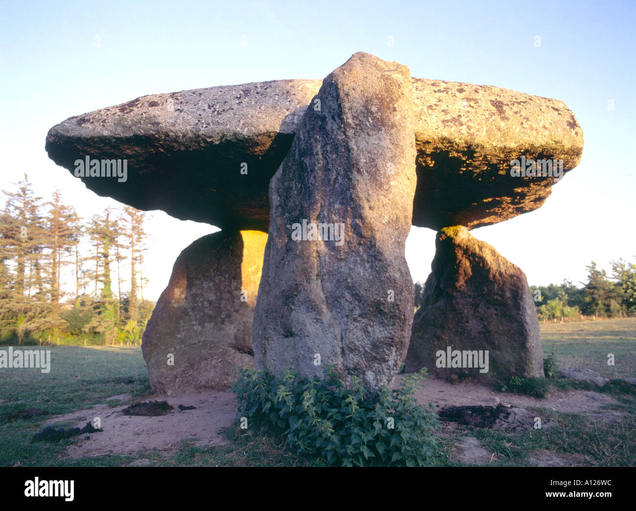 Spinsters hi-res stock photography and images - Alamy