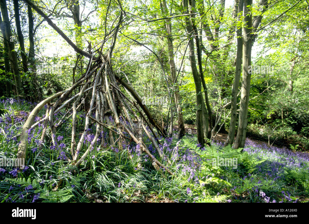 Old heathfield hi-res stock photography and images - Alamy