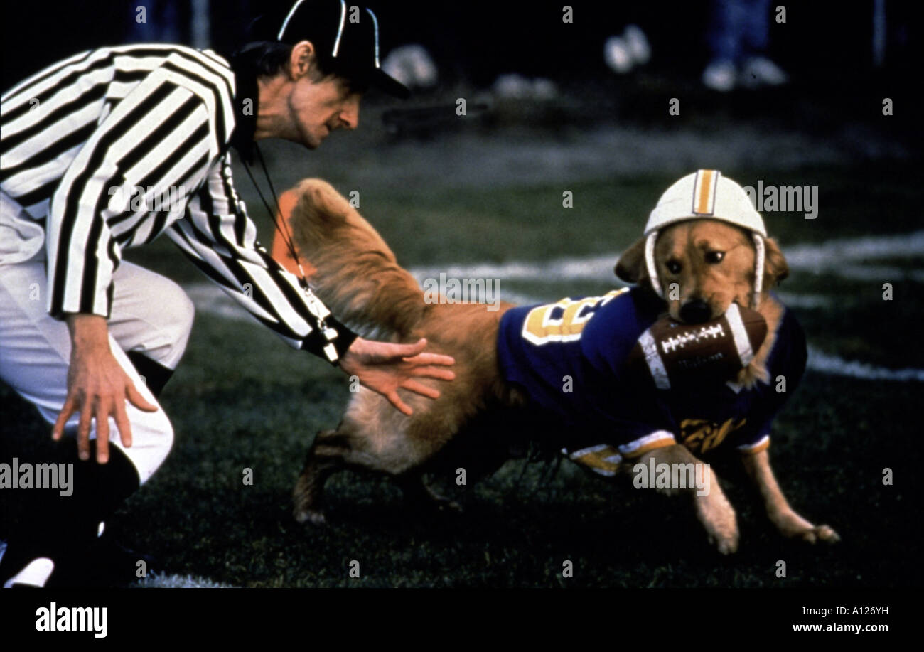 Air Bud Golden Receiver 1998