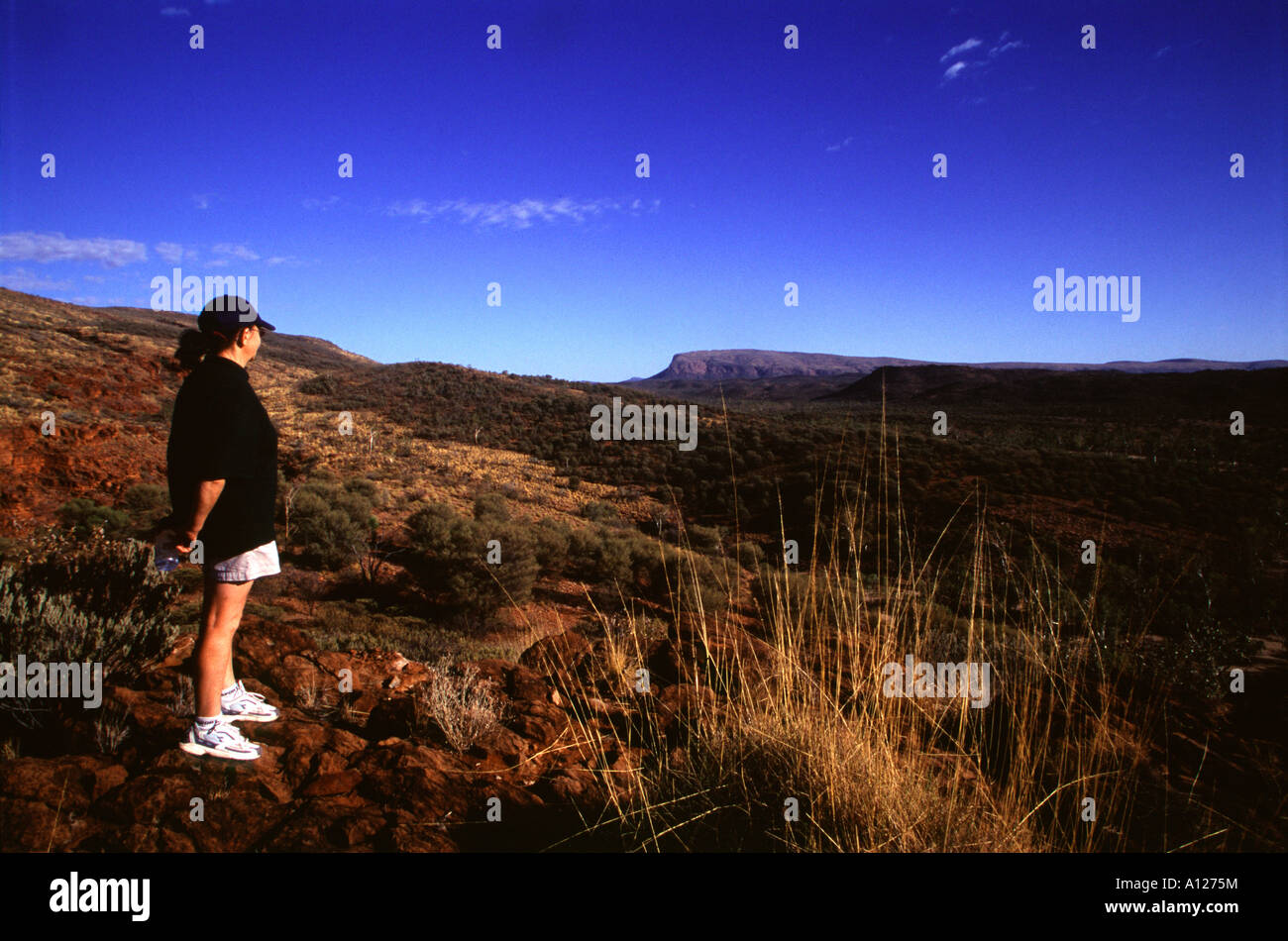 A local woman enjoys the view at Trephina Gorge, Eastern Macdonnell ...
