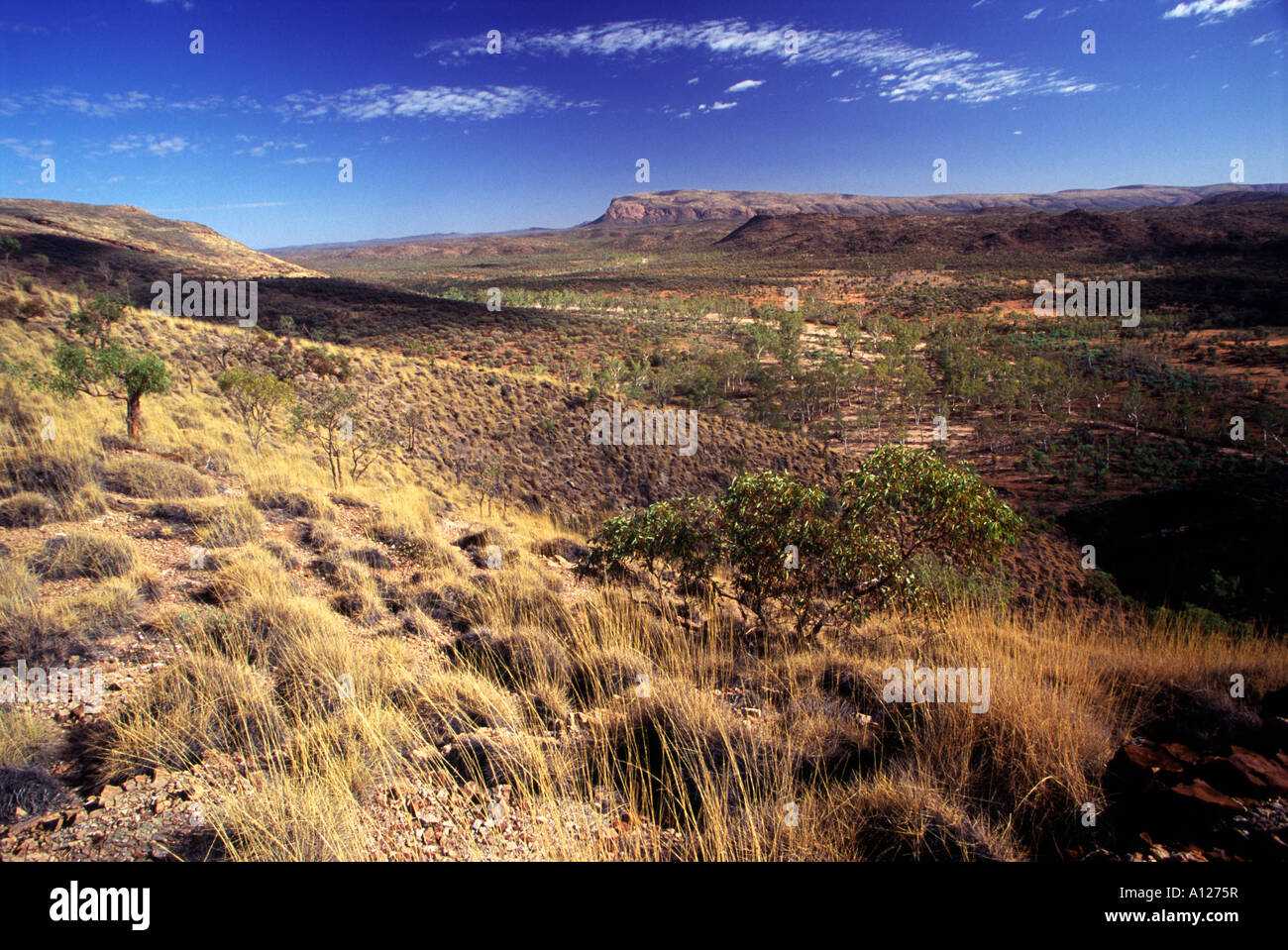 Trephina Gorge in the Eastern Macdonnell Ranges, Alice Springs ...
