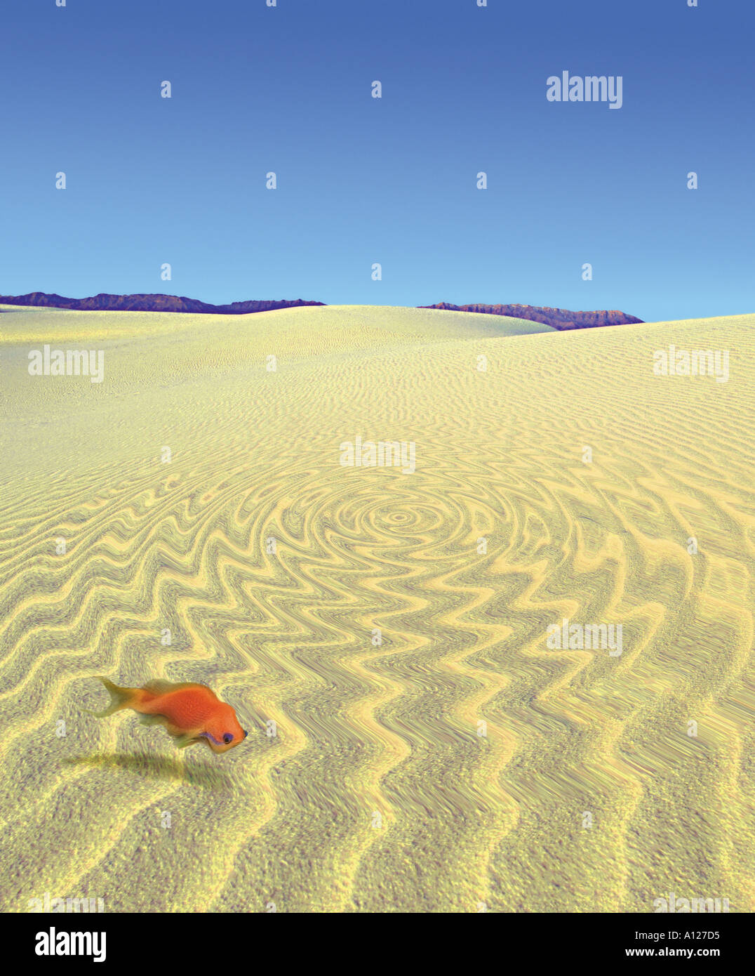 Desert fish hi-res stock photography and images - Alamy