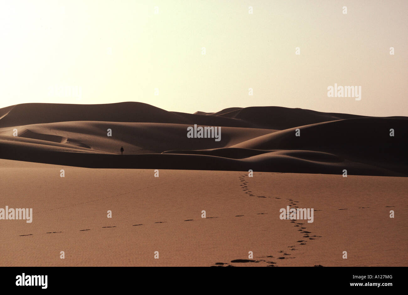 Wandering through the Sahara Desert on the outskirts of Chinguetti ...