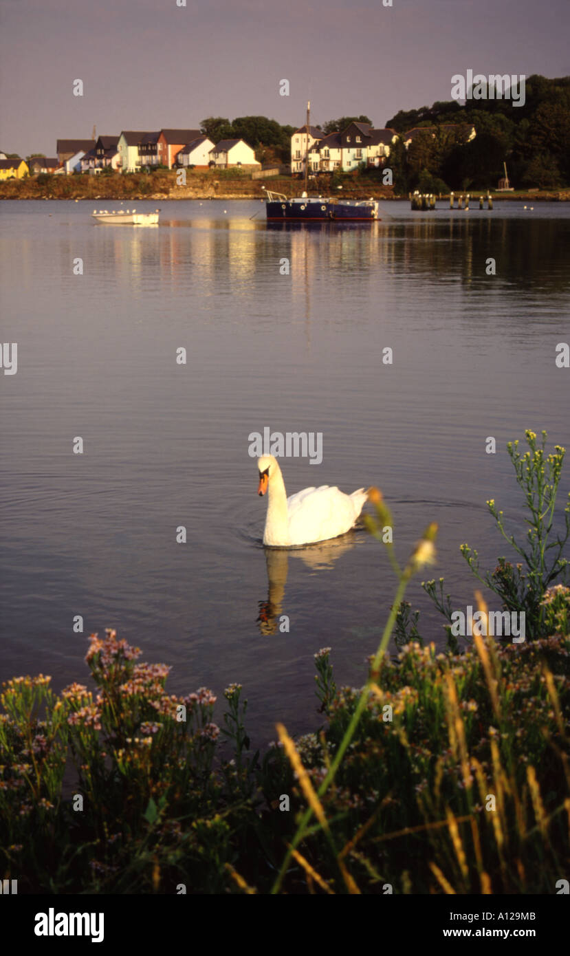 Hooe hi-res stock photography and images - Alamy