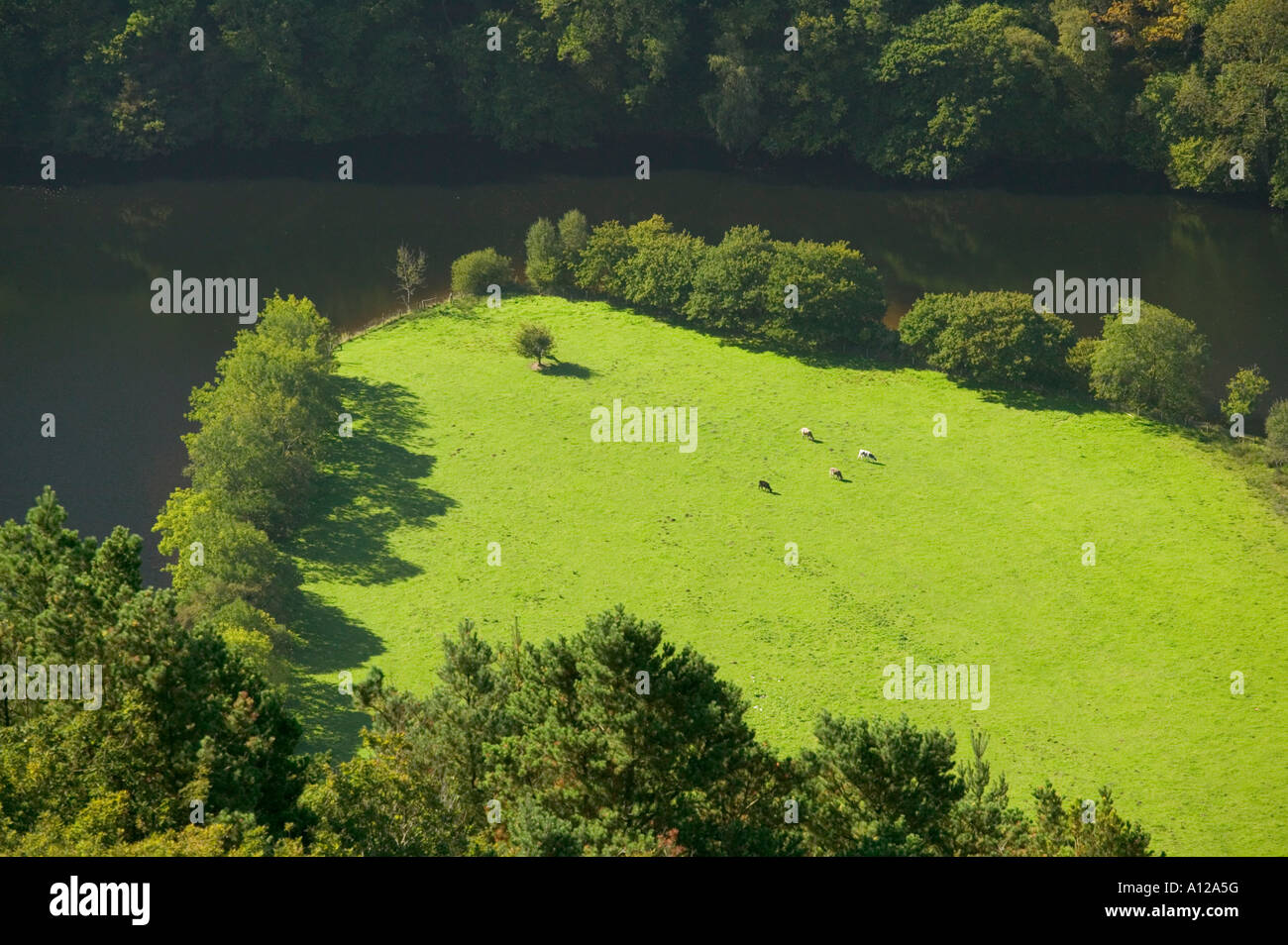 River rheidol hi-res stock photography and images - Alamy