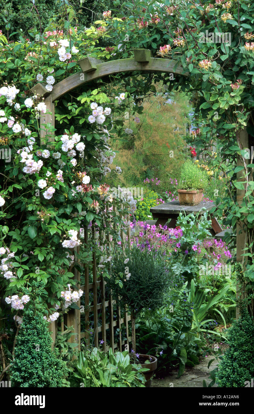 Arch with rosa pauls himalayan musk and honeysuckle hi-res stock ...