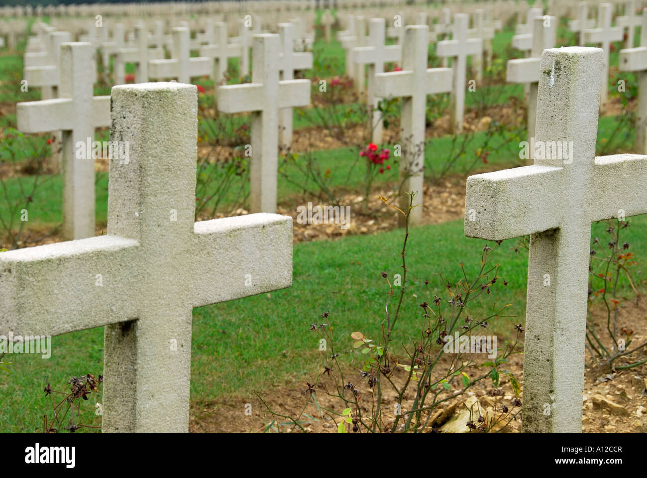 "Douaumont cemetery, 15,000 French and German WW1 soldiers graves ...