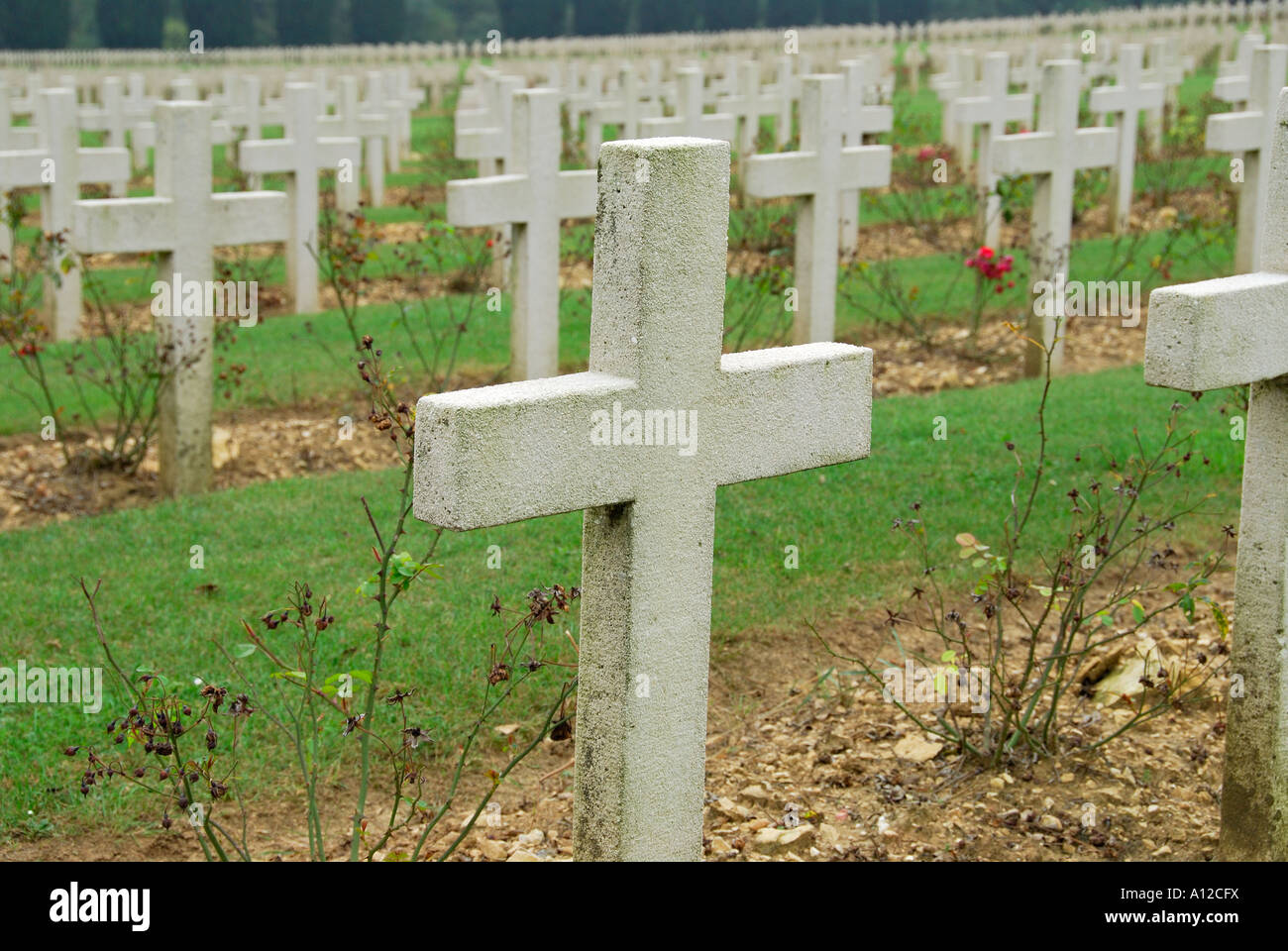 Ww1 french graves hi-res stock photography and images - Alamy