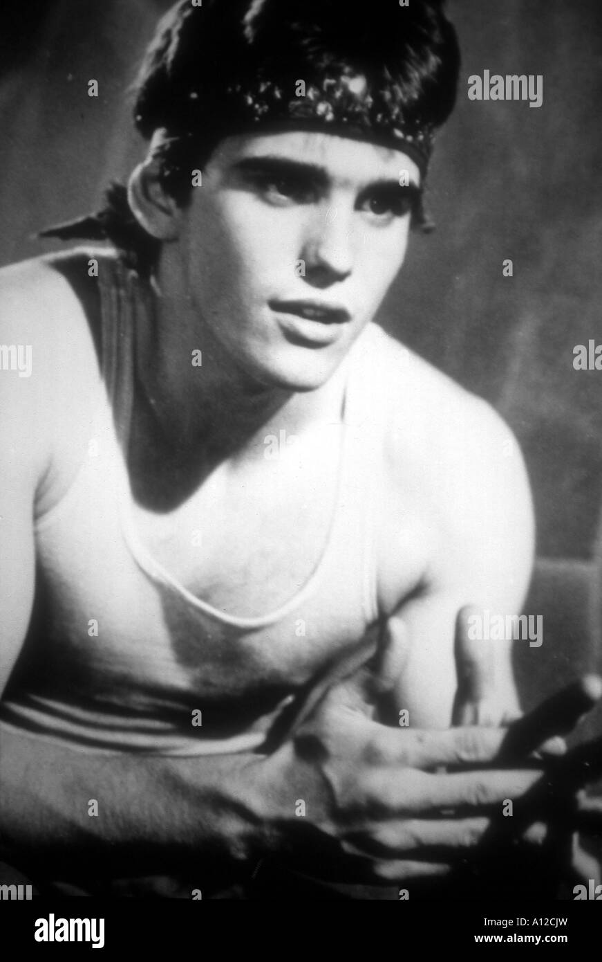 Rumble Fish Year 1983 Director Francis Ford Coppola Matt Dillon Stock ...