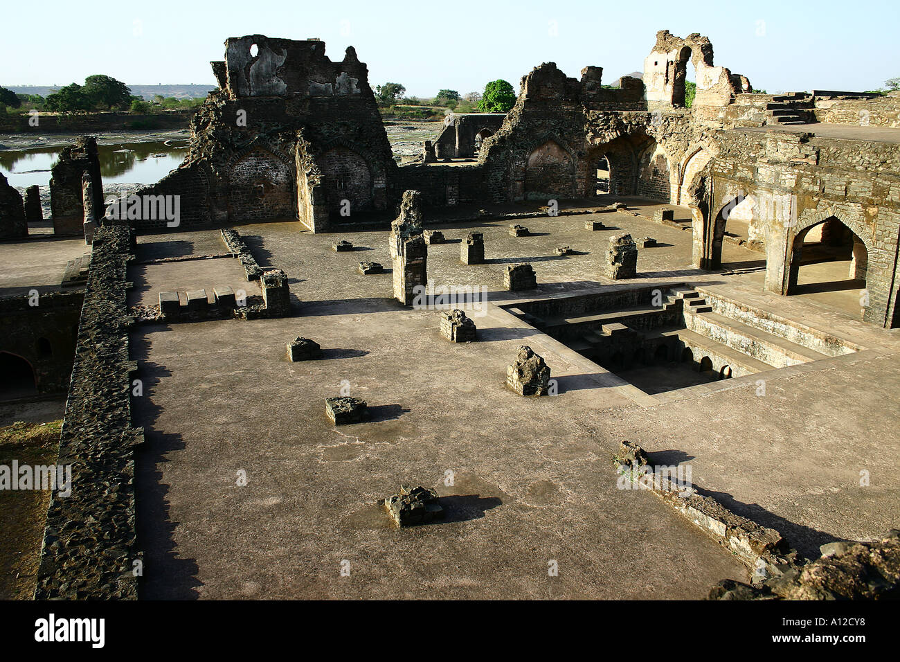 Indian champa hi-res stock photography and images - Alamy