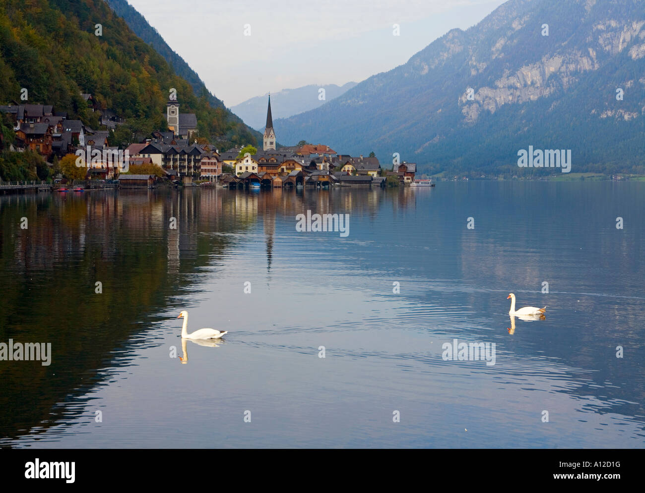 Swam at Hallstatt on the Hallstatter See lake in Austria Stock Photo ...