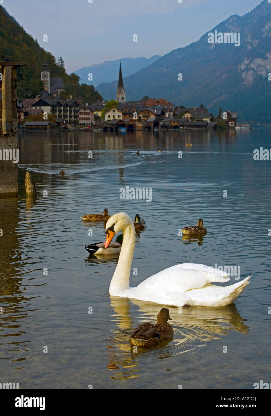 Pictorial town of Hallstatt on the Hallstatter See lake in Austria ...