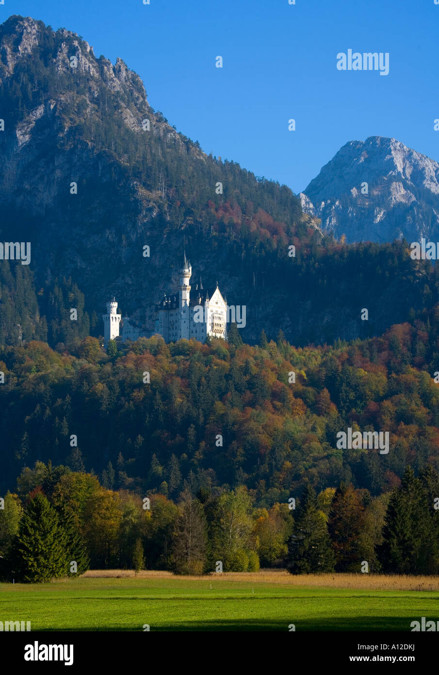 Neuschwanstein Castle at fall Bavaria Germany Stock Photo - Alamy