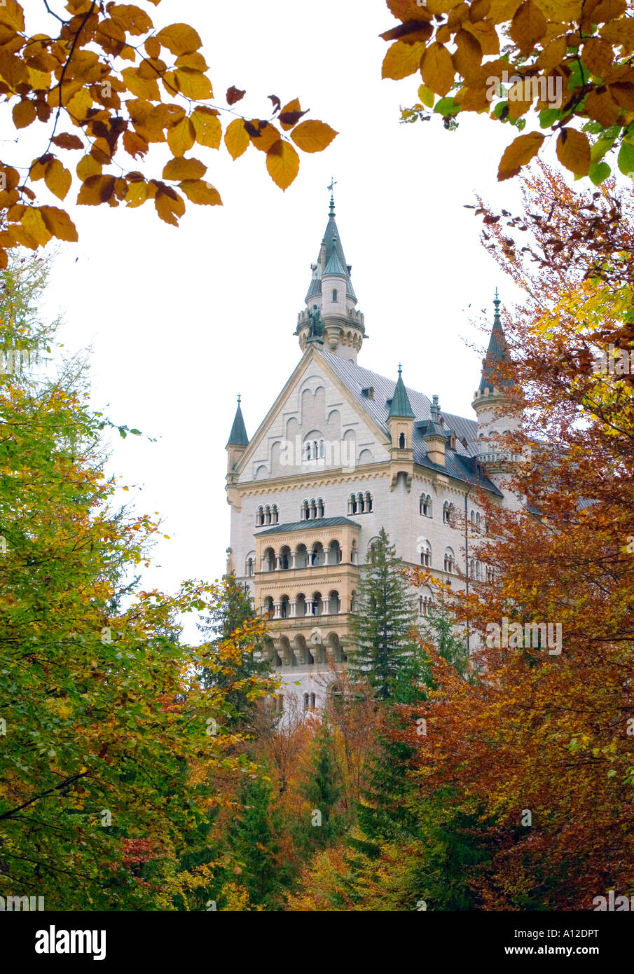 Neuschwanstein Castle at fall Bavaria Germany Stock Photo - Alamy