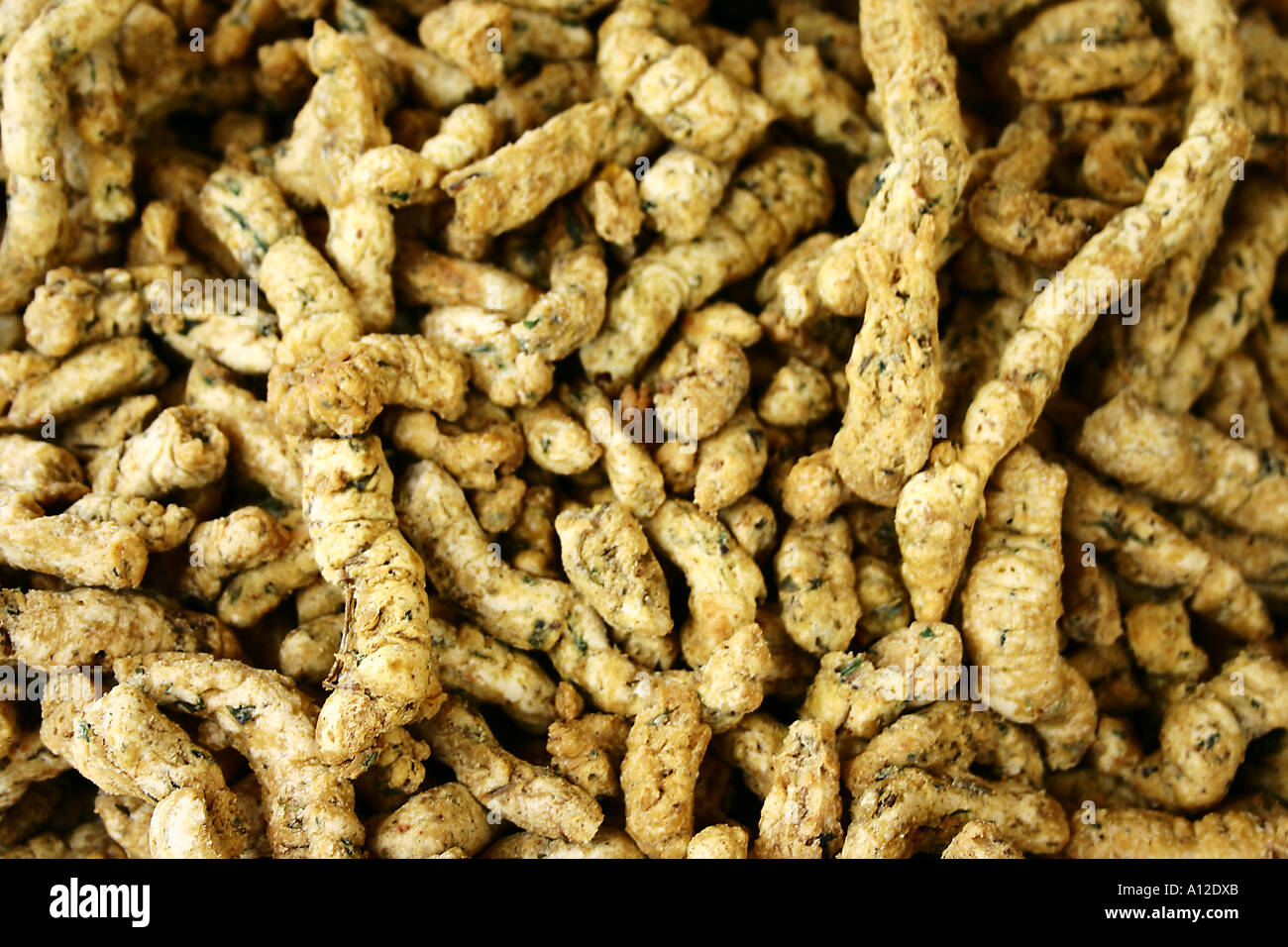 RSC75124 Indian fast food fried snack gathia made of gram flour Ujjain ...