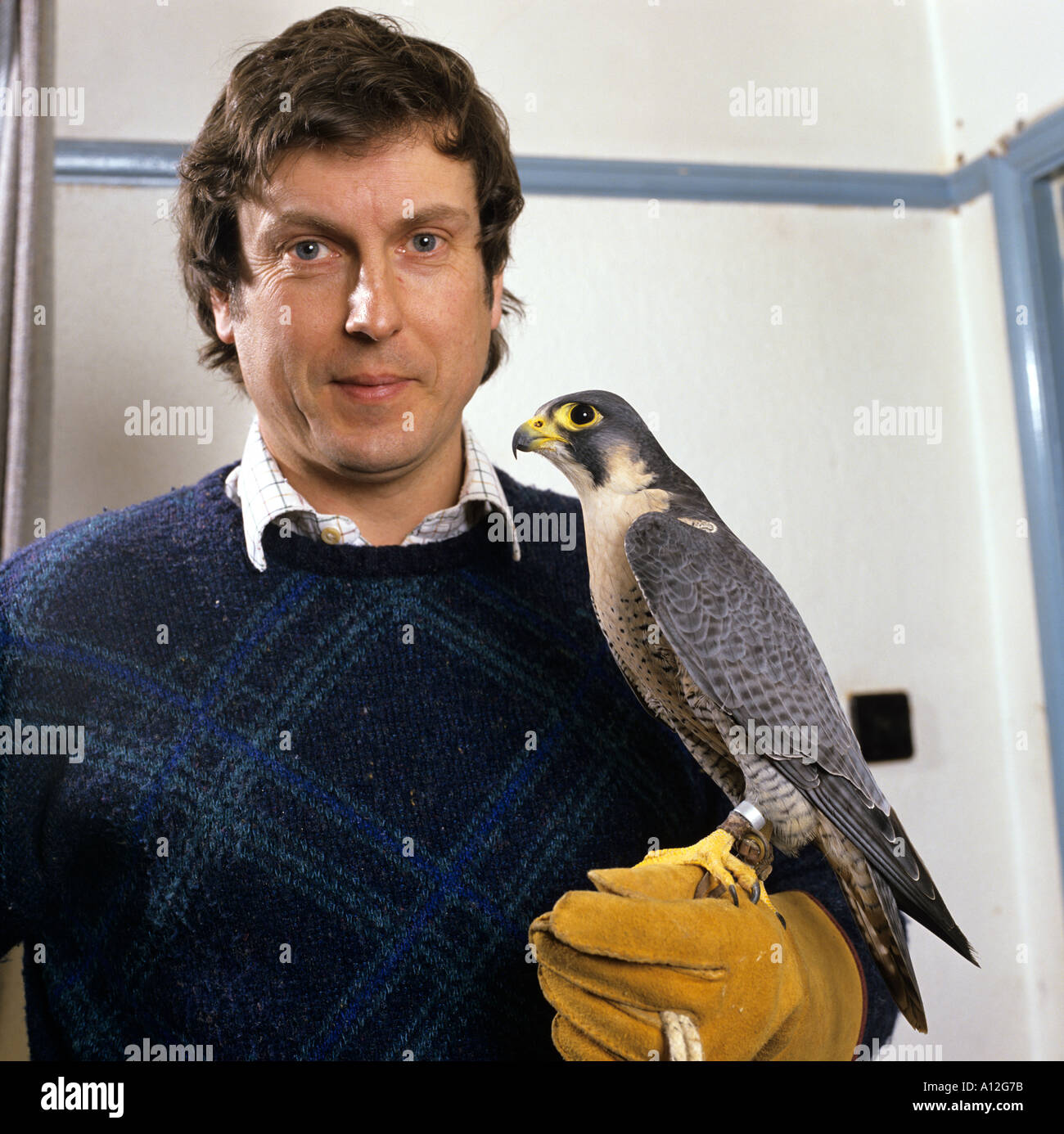 Falconry tools hi-res stock photography and images - Alamy