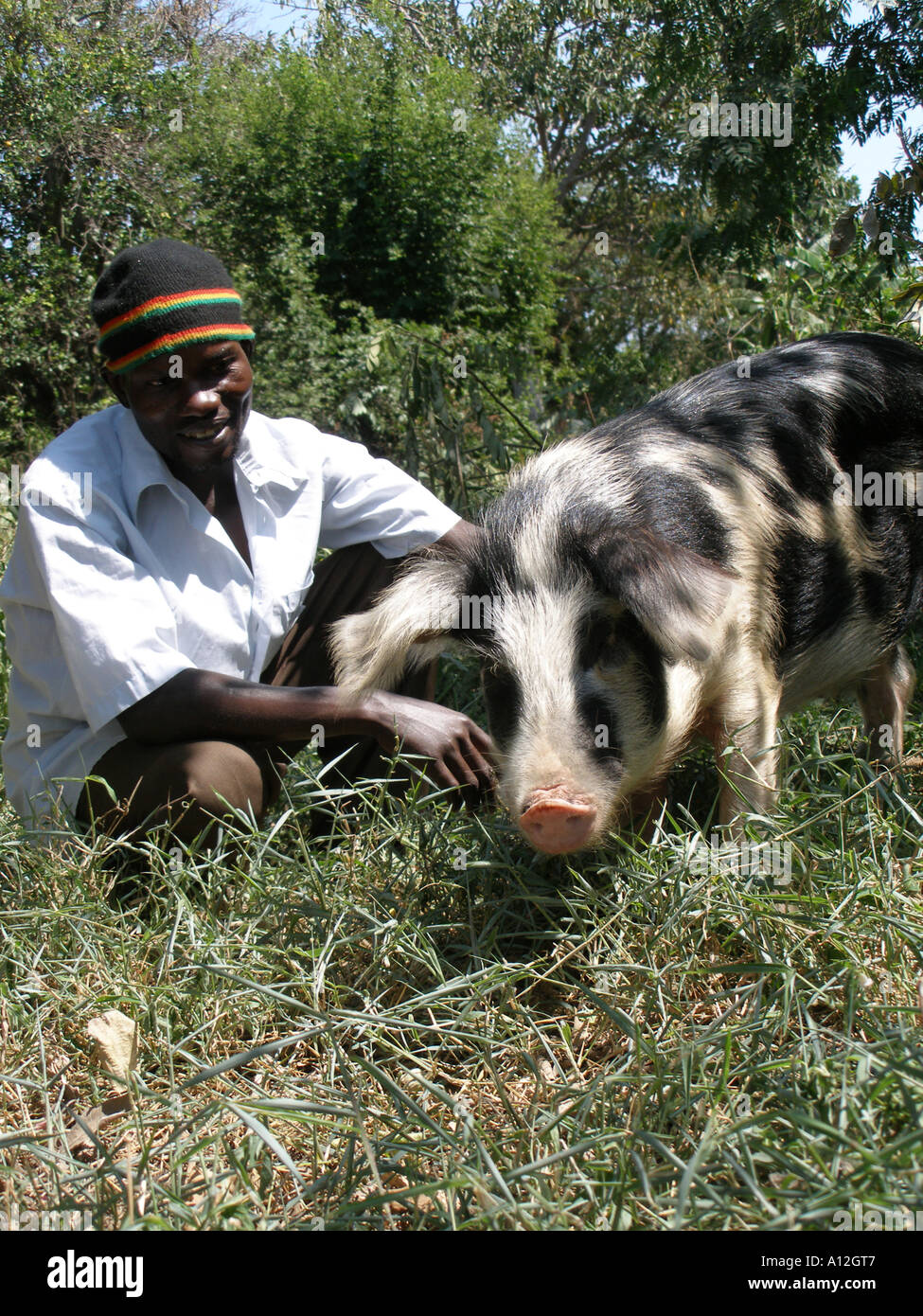 A proud farmer shows off his pig at Garuga, near Entebbe, Uganda Stock ...