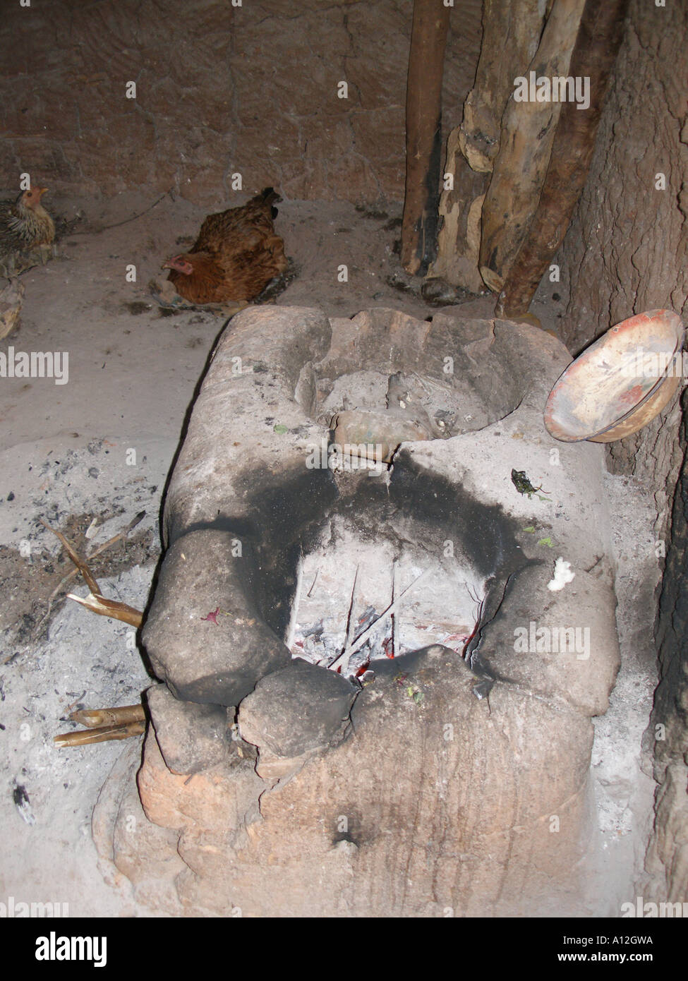 Chickens roosting in a kitchen hut with a primitive wood/charcoal stove ...