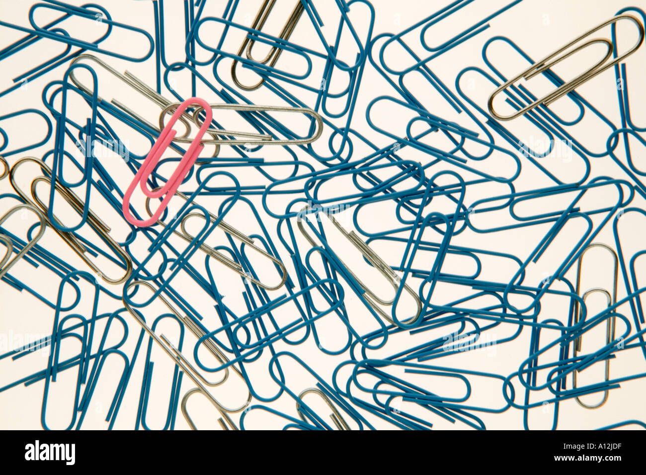 Paperclips on white background Stock Photo - Alamy