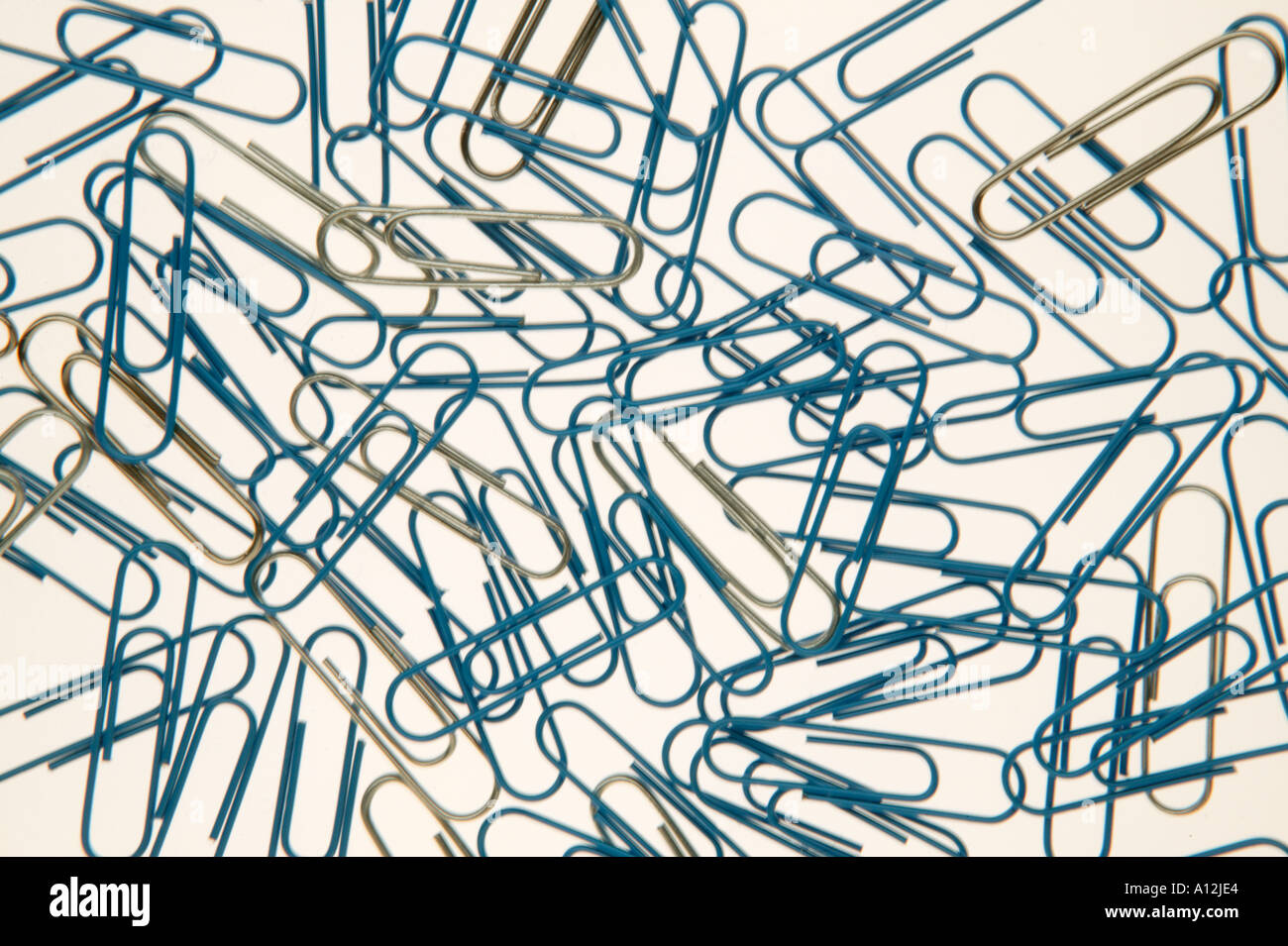 Multi Coloured paper Clips on white background Stock Photo - Alamy