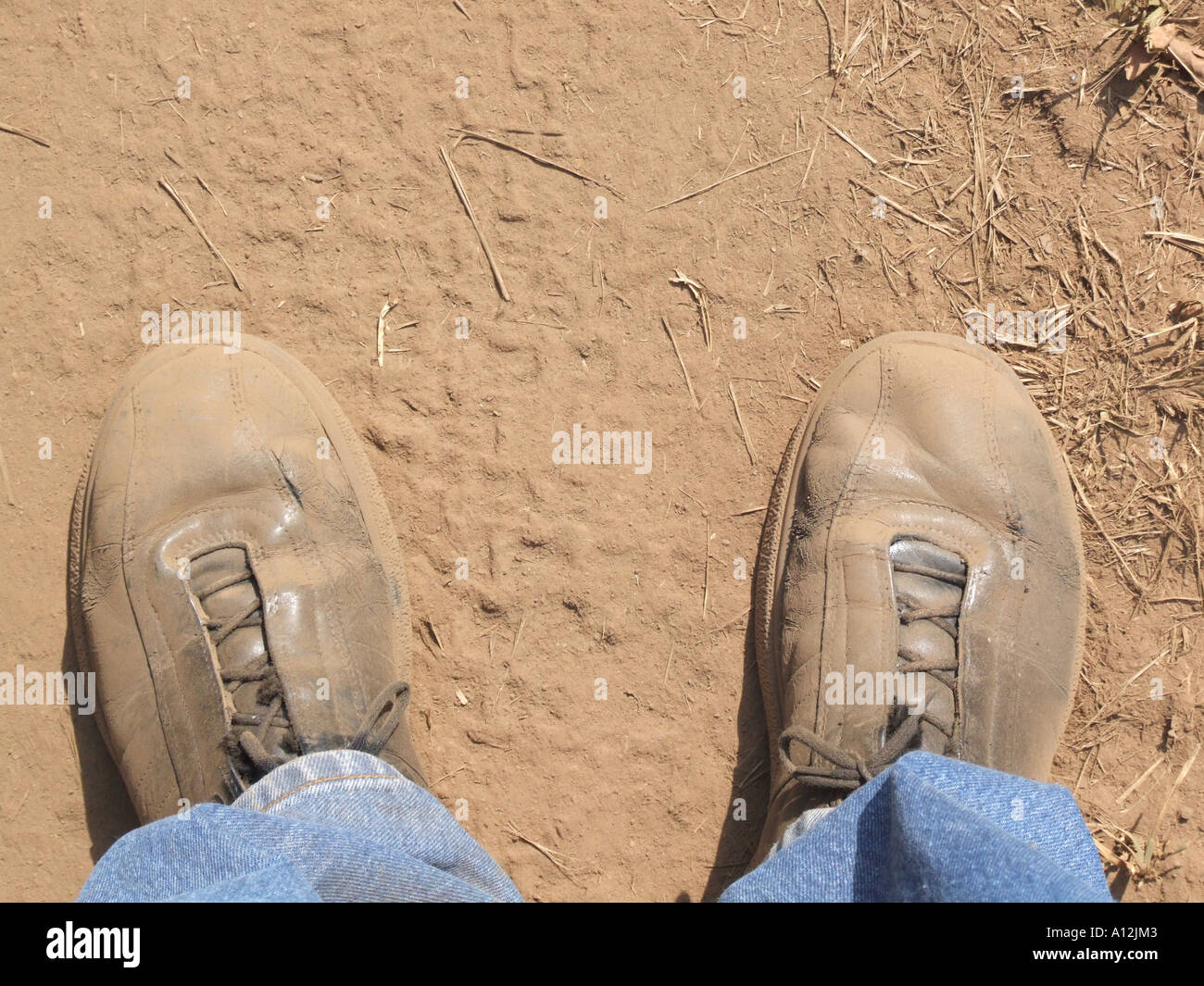 Dusty brown hi-res stock photography and images - Alamy
