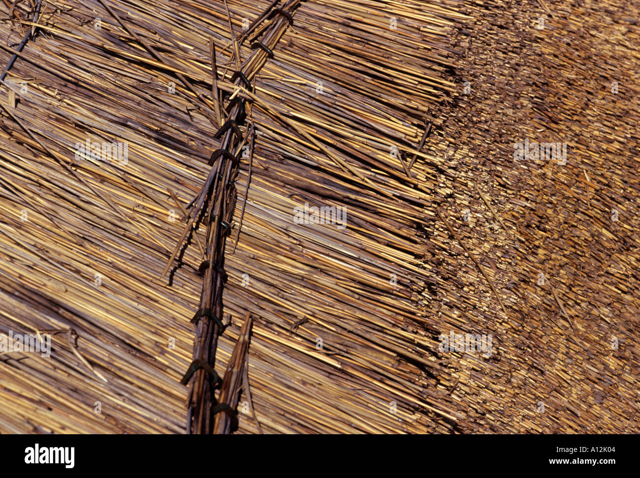 Ladder roof hook hi-res stock photography and images - Alamy