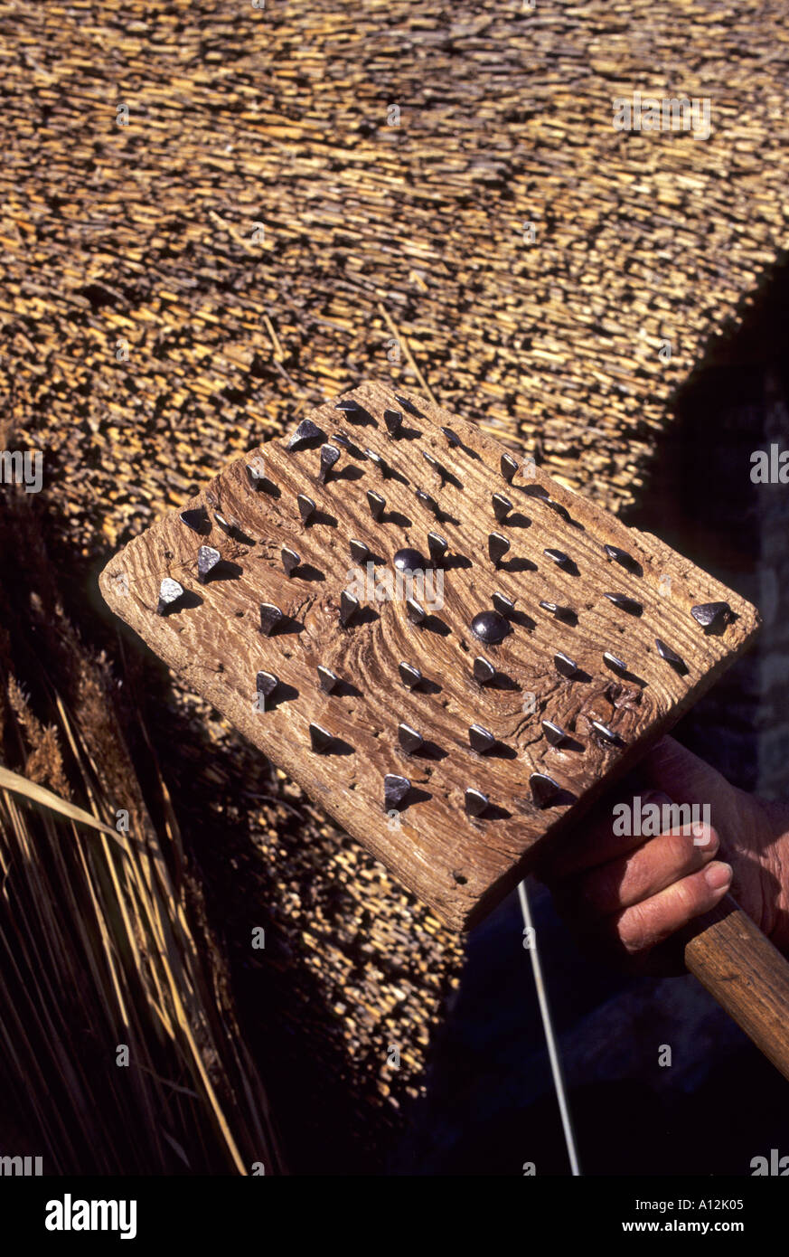 Reed leggat used in Thatching Stock Photo - Alamy