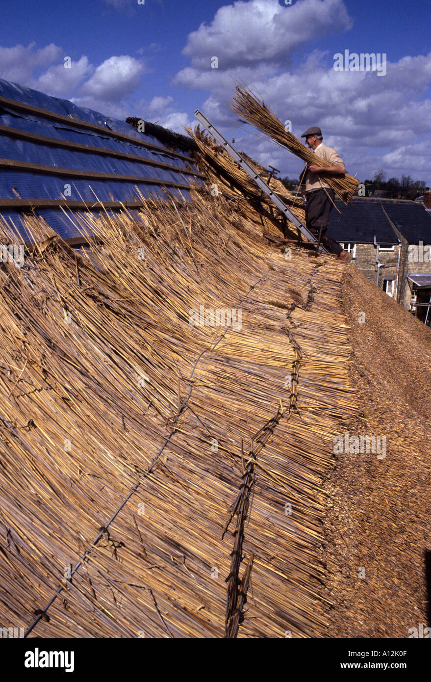 Norfolk roof thatching hi-res stock photography and images - Alamy