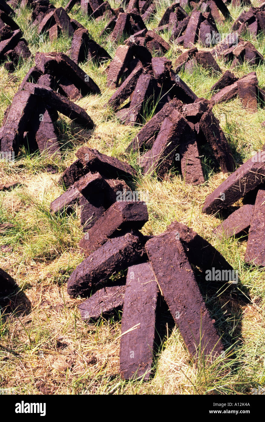 Peat blocks left to dry Stock Photo - Alamy