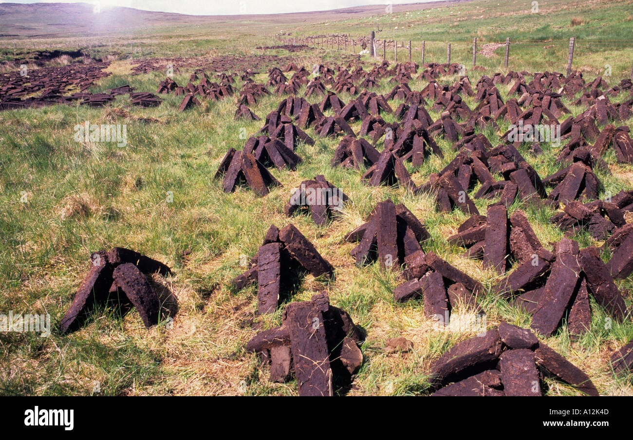 Peat cutter hi-res stock photography and images - Alamy