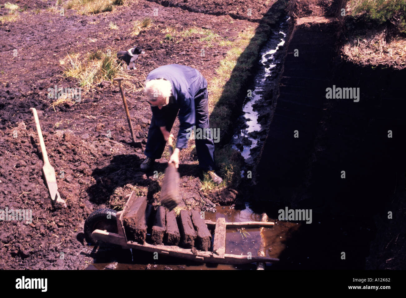 Willam Mc Burney cutting peat using slane and a hand barrow Stock Photo ...