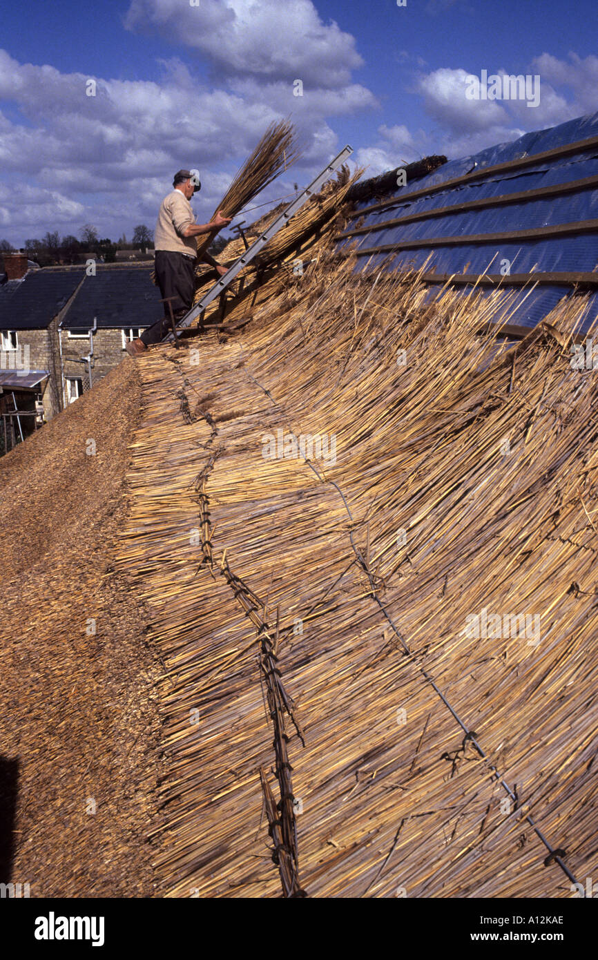 Roof spars hi-res stock photography and images - Alamy