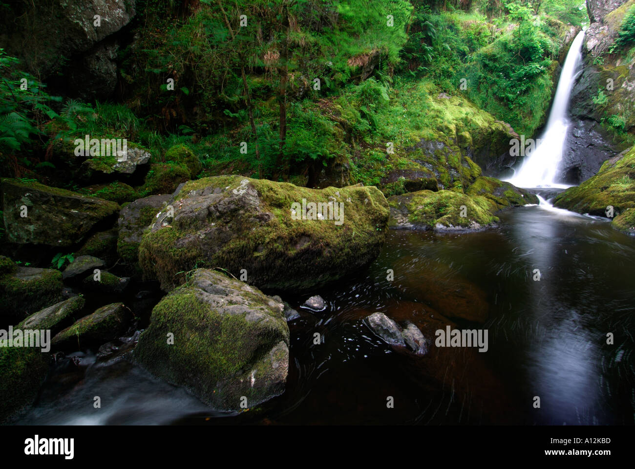 Devil's glen wicklow hi-res stock photography and images - Alamy