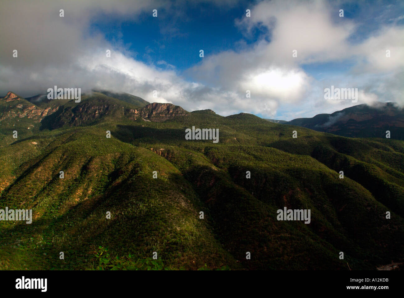 Mexican Mountain Ranges