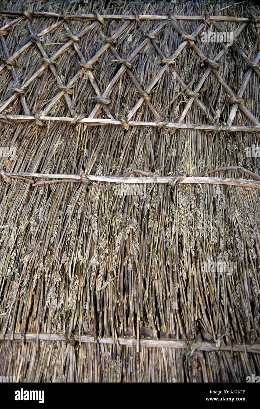 Making the traditional thatching spars from split hazel wood Stock ...