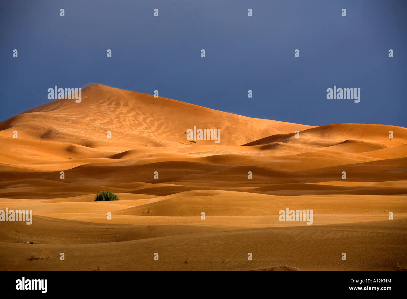 Rain in sahara desert hi-res stock photography and images - Alamy