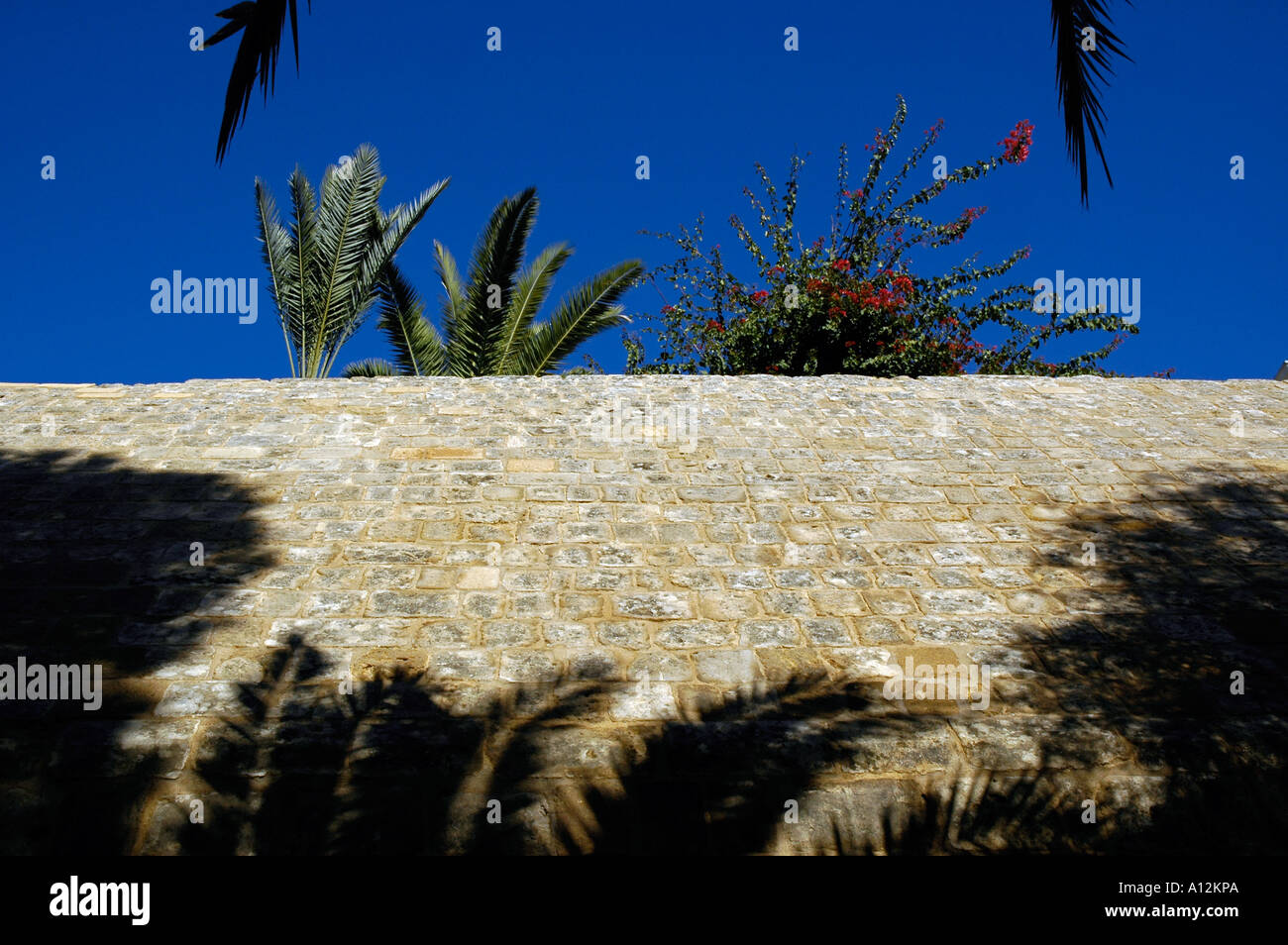 Cyprus nicosia wall green line hi-res stock photography and images - Alamy