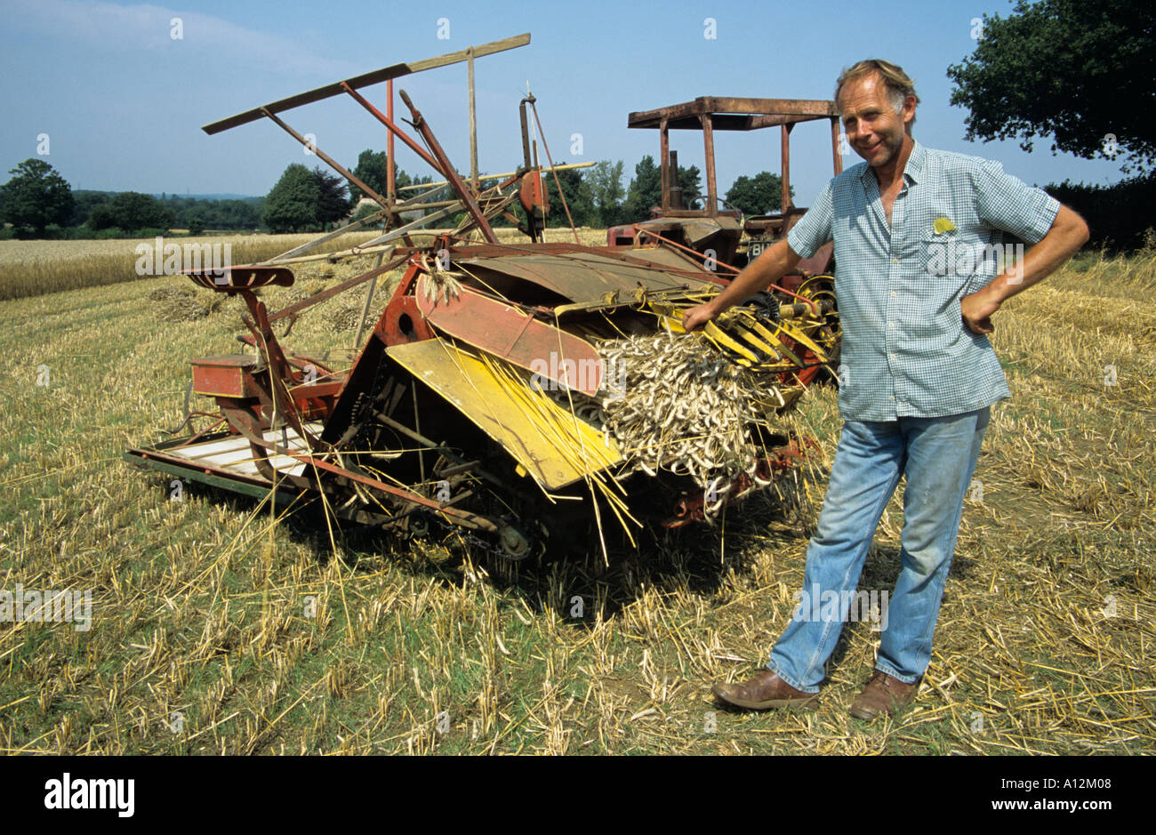 Harvesting long Straw for the thatching industry Stock Photo - Alamy