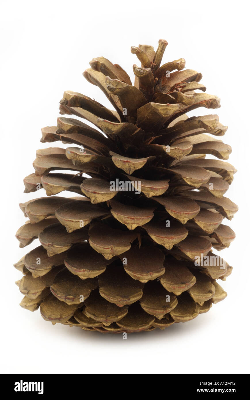 Christmas outdoor display Cut Out Stock Images & Pictures - Alamy