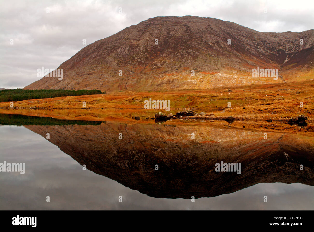 Connemara, Mirror like reflection in Lough Inagh in the Inagh Valley ...