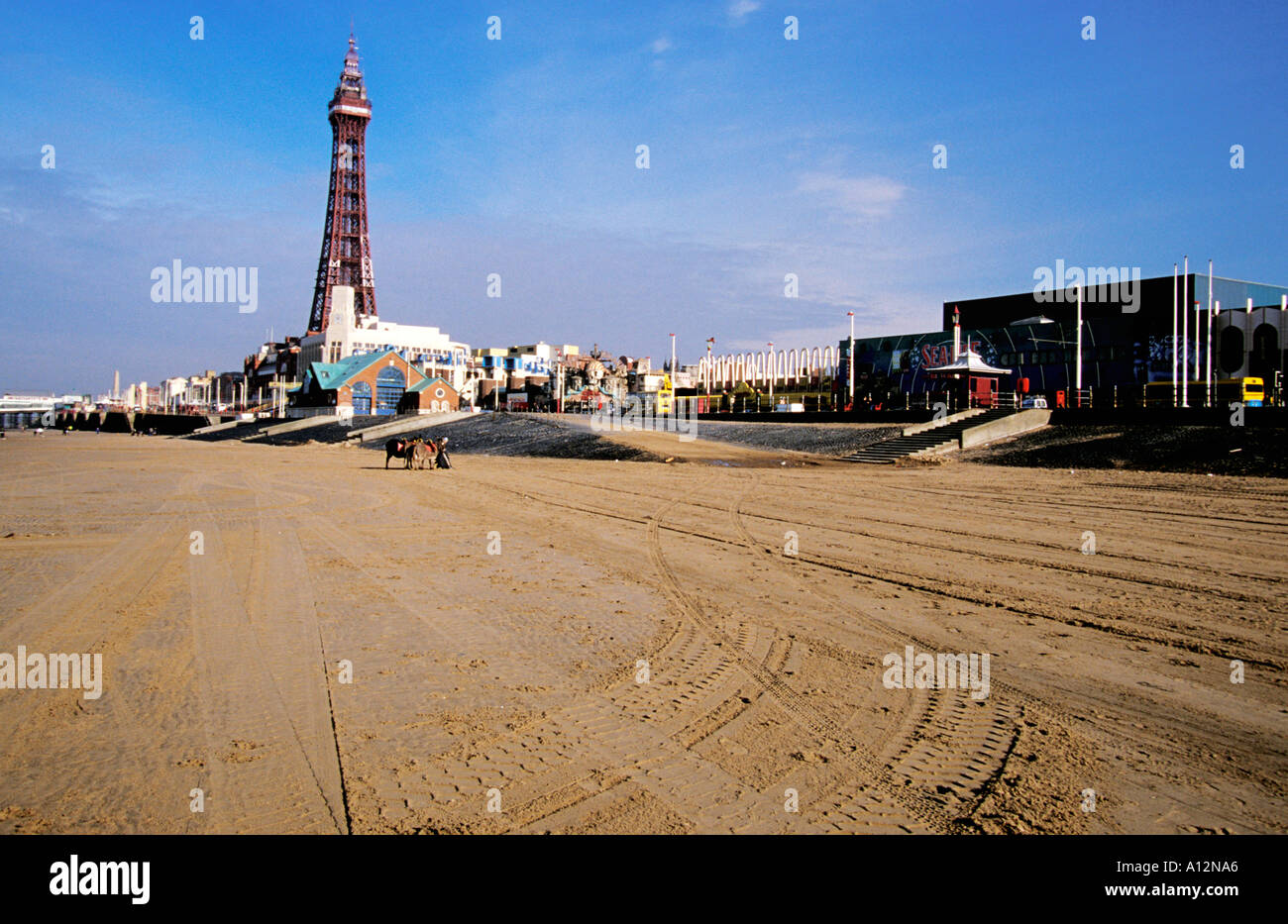 Blackpool tower and beach Blackpool Lancashire England 2005 Stock Photo ...